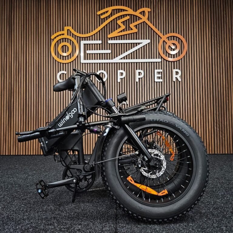 Windgoo F22 Pro - fatbike | EZ-Chopper
