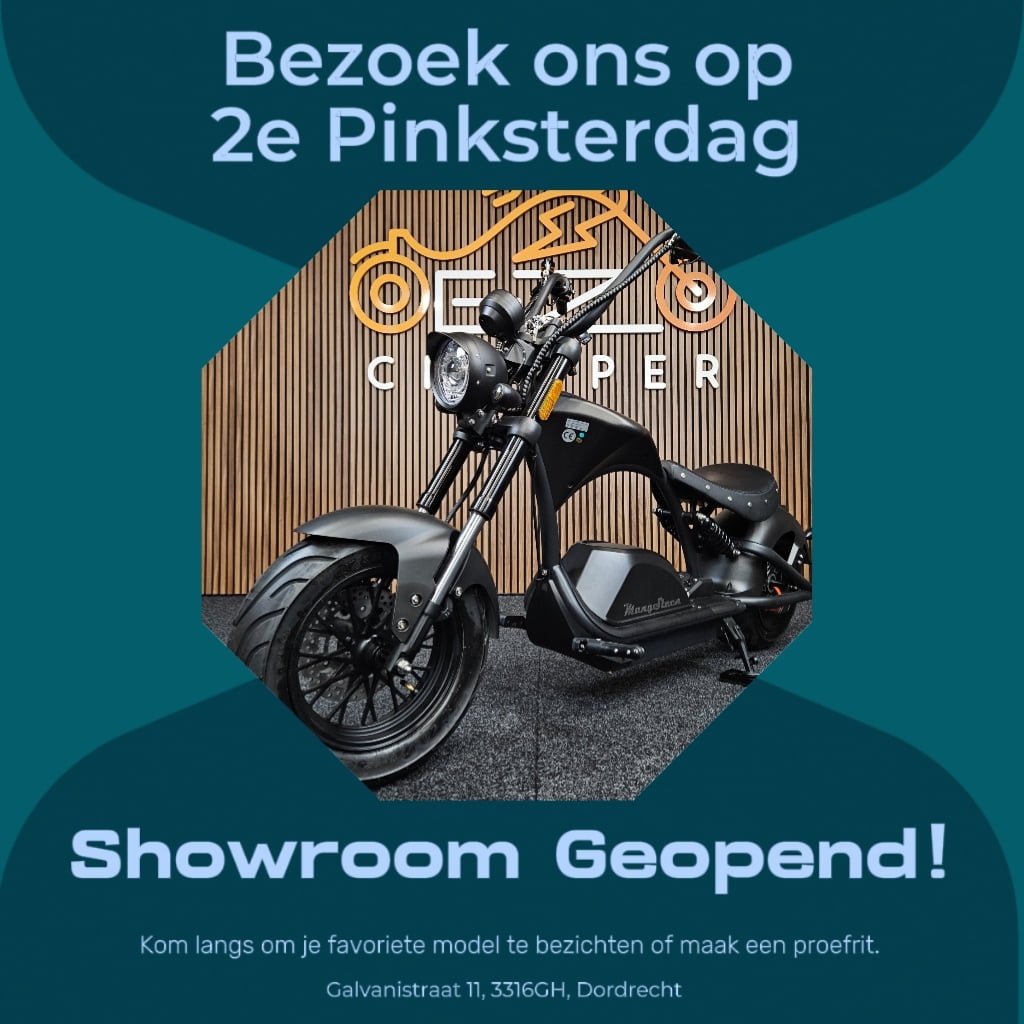 Welke soorten e-choppers zijn er? | EZ-Chopper